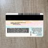 California Driver License Template PSD – Editable Digital ID for Online Use
