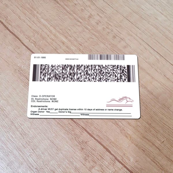 Kentucky Driver License Template PSD – Southern-Style Editable ID for ...