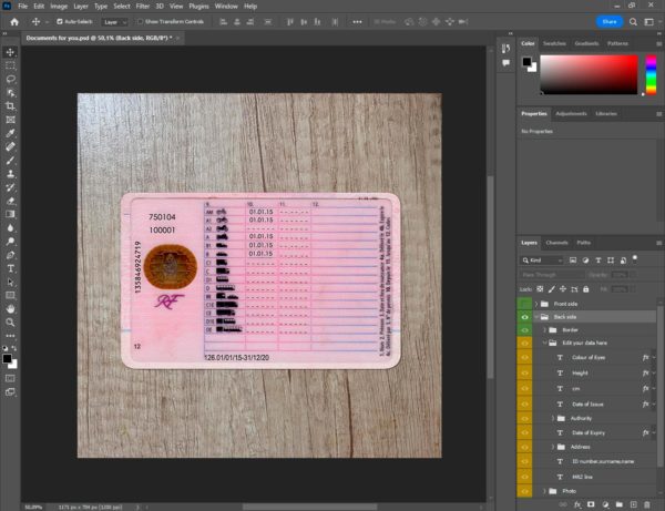French Driver License Template PSD | Editable Download