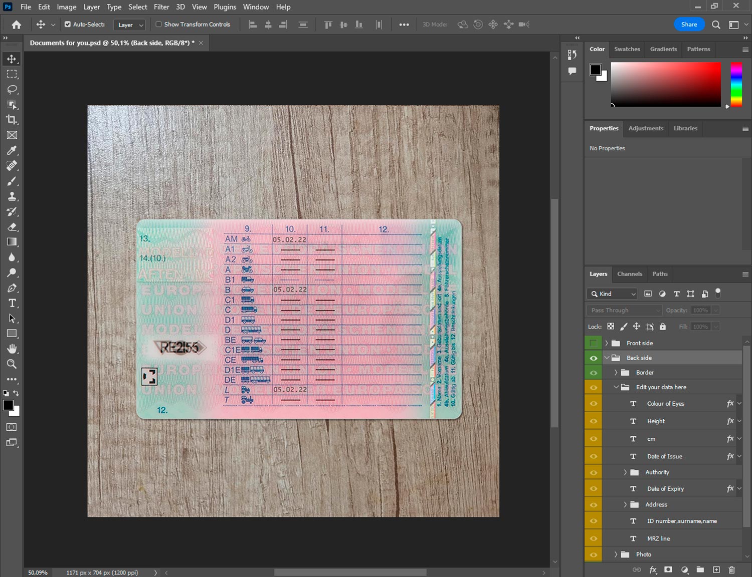 Editable Germany Driver License Template | Digital Mock