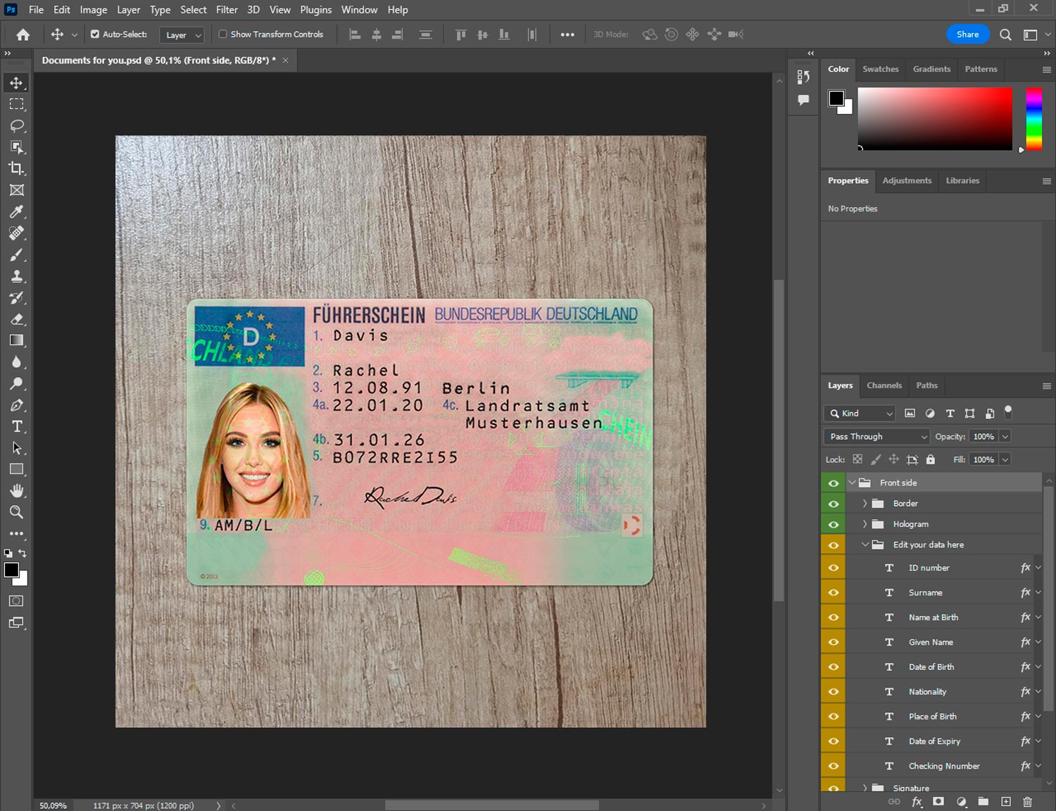 Editable Germany Driver License Template | Digital Mock