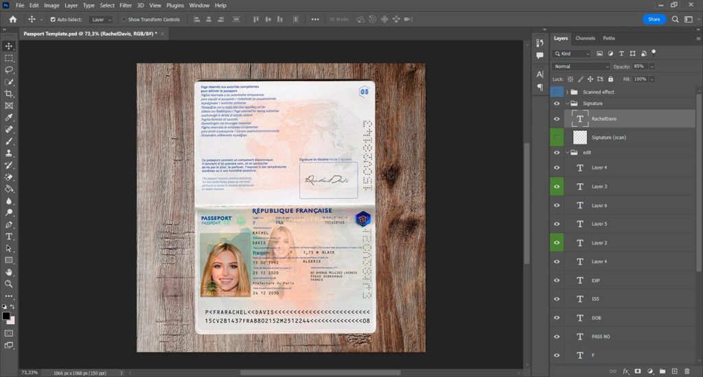 Editable France Passport Design | Realistic Layout