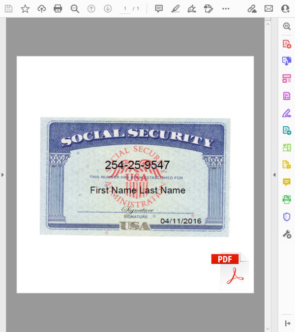 SSN PDF Editable (Do It Yourself)
