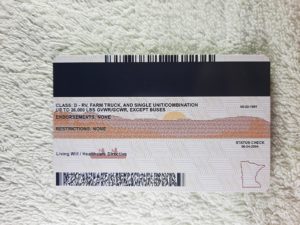 Custom license maker - Make a novelty DL online