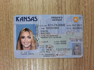 Custom license maker - Make a novelty DL online