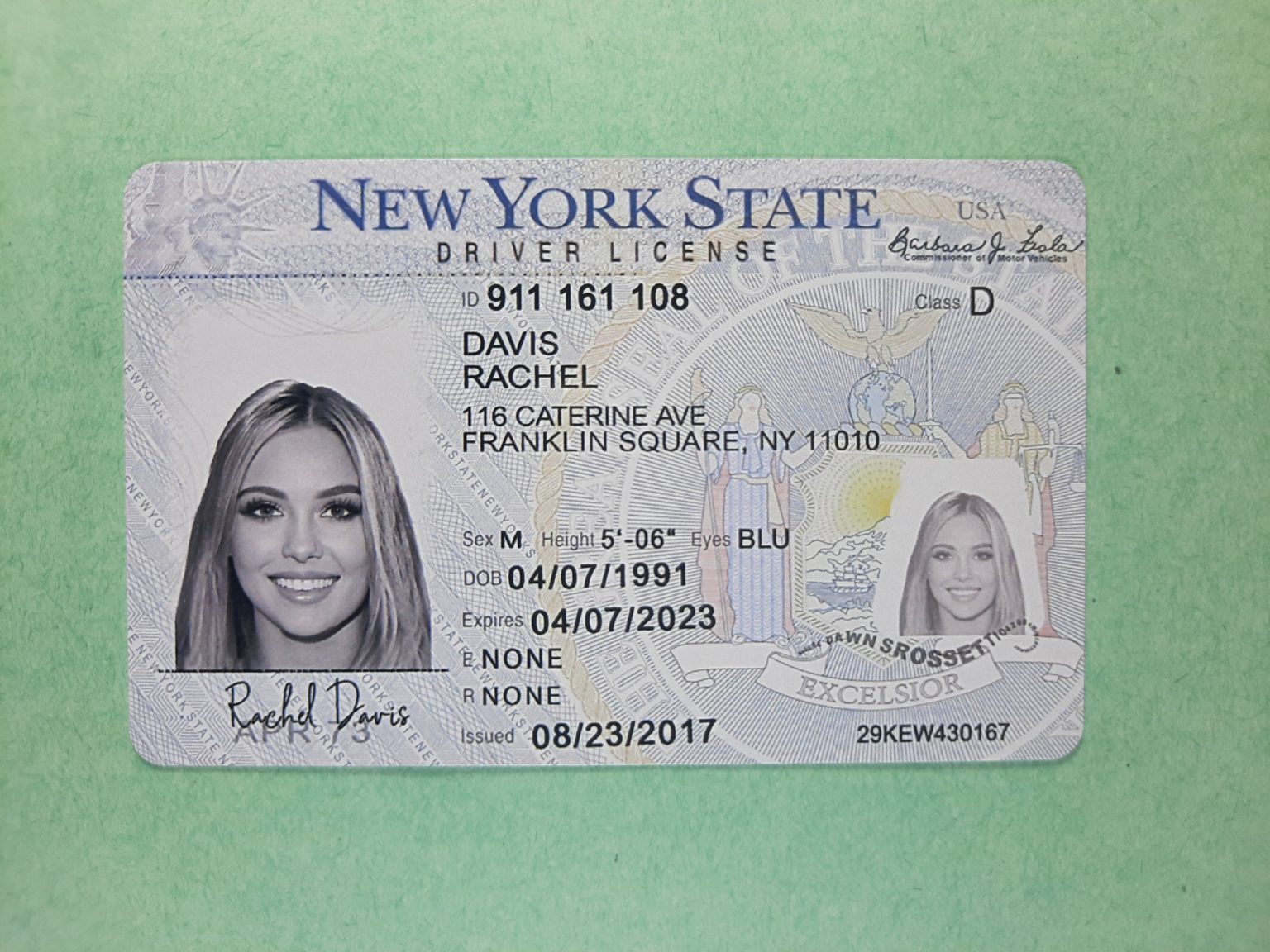Custom license maker - Make a novelty DL online