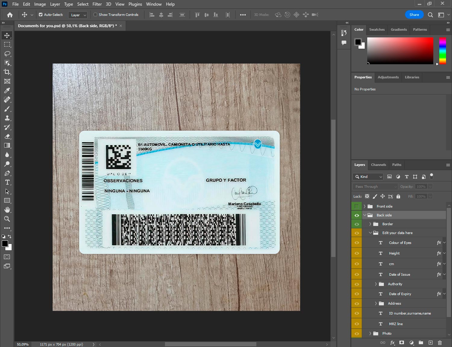 Argentina Driver License template