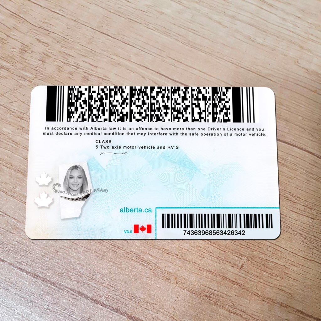 Editable Canada Alberta Driver License Template – Modern Design
