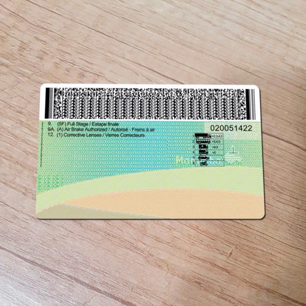 Canada Manitoba Driver License Template PSD | Editable Download