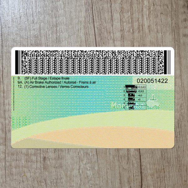 Canada Manitoba Driver License Template PSD | Editable Download