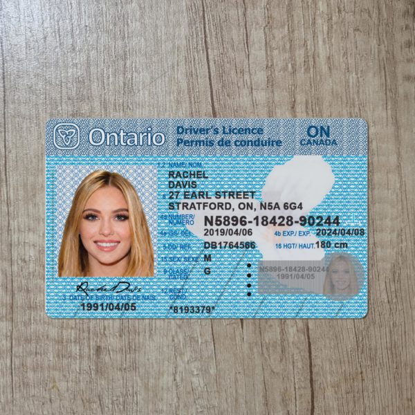 Canada Ontario Editable DL PSD Template – Professional Layout