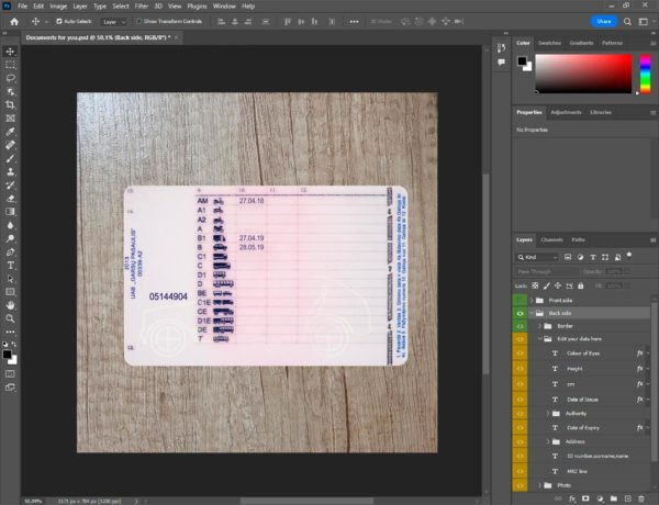 Editable Blank Lithuania Driver License | Realistic Design