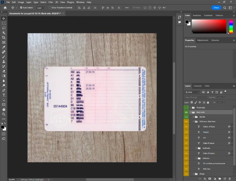 Editable Blank Lithuania Driver License | Realistic Design