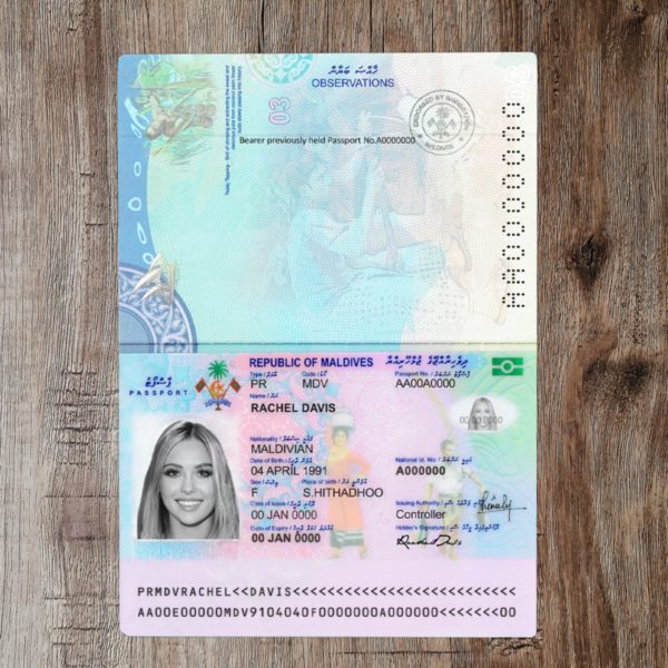 Custom Passport Templates: Editable Travel ID Designs 2025