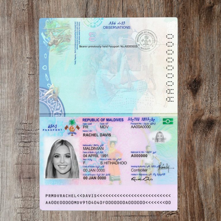 Custom Passport Templates: Editable Travel ID Designs 2025